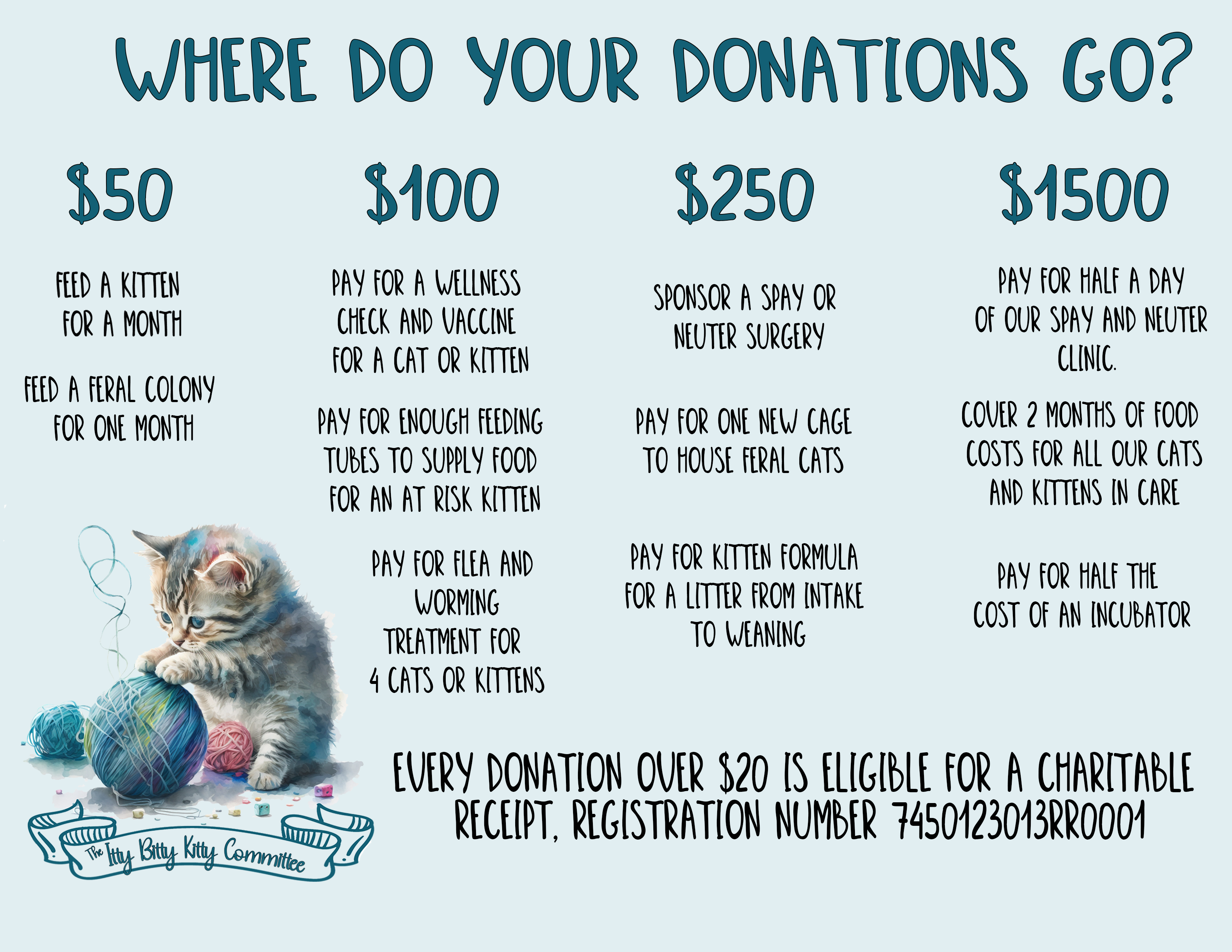 Donate to Save a life – IBKC